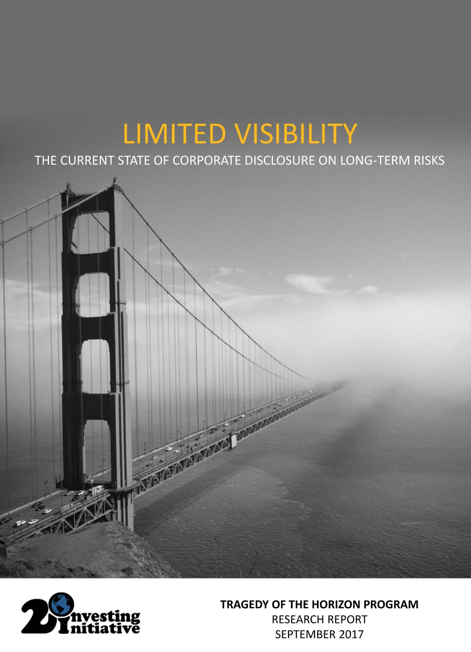 Limited Visibility: The Current State of Corporate Disclosure on Long ...